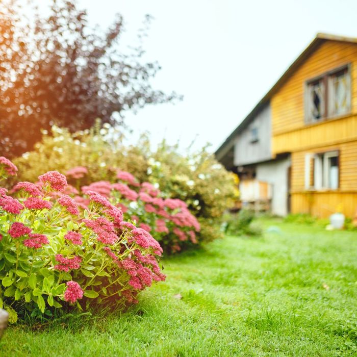 4 Things to Know Before Starting a Landscaping Project - 4th Generation ...